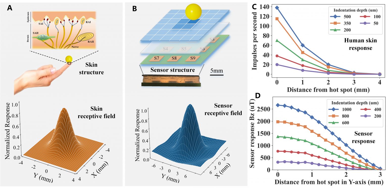 Soft Magnetic Skin for Super-Resolution Tactile Sensing with Force Self ...