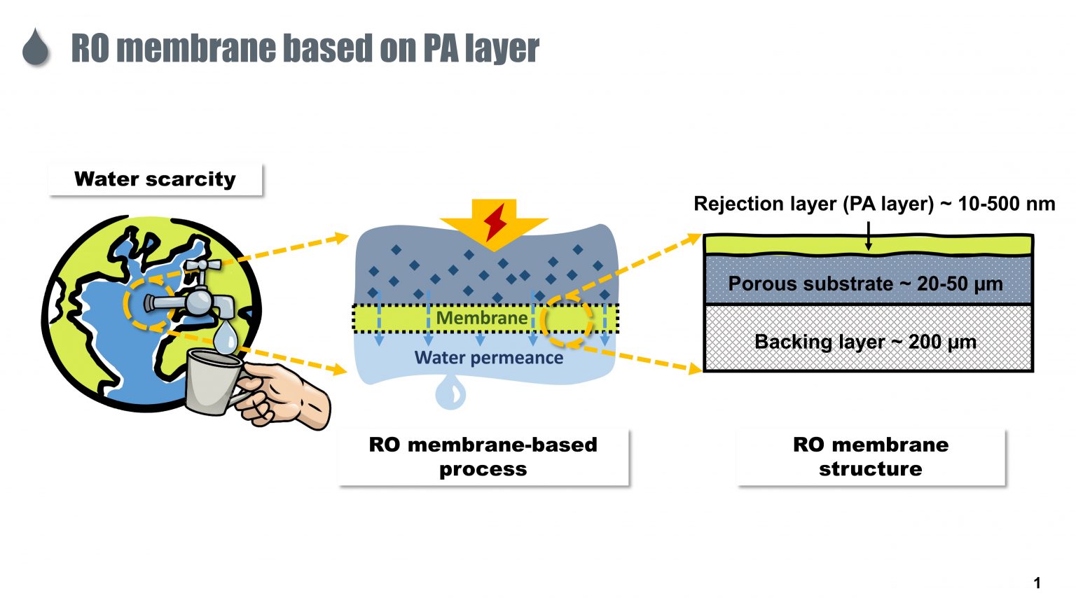Young Scholar TechTalk – Blowing Bubbles in Membranes for More ...