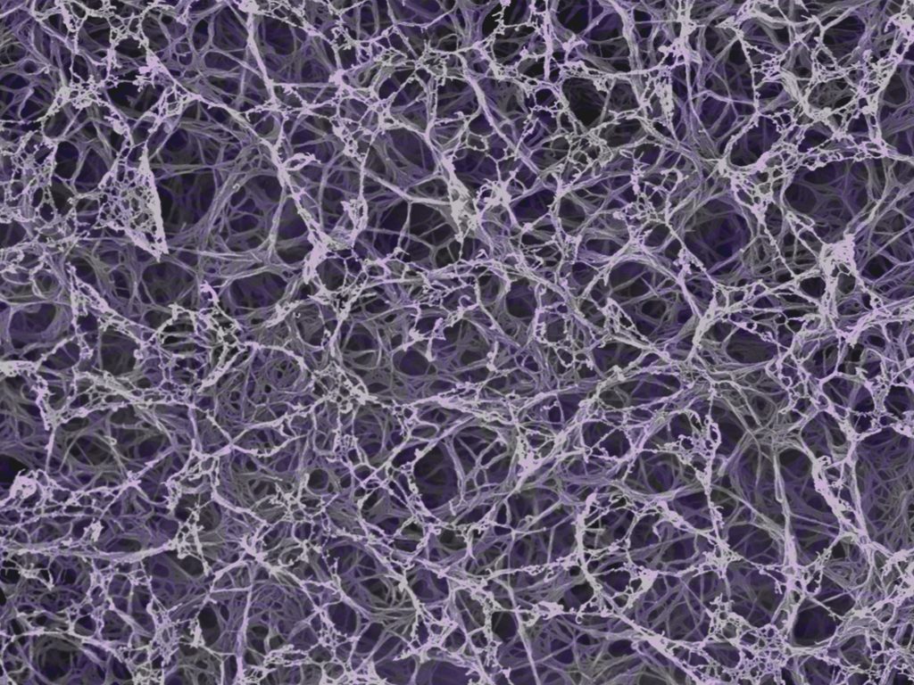 TechTalk – Biomimetic Soft Materials for Bio-Integrated Smart Devices ...