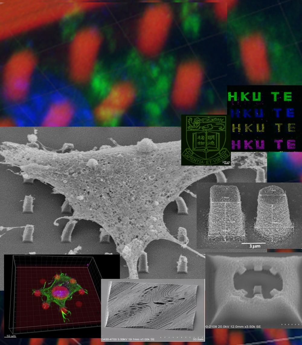 TechTalk – A “Programmable” Cell Niche Engineering Platform ...