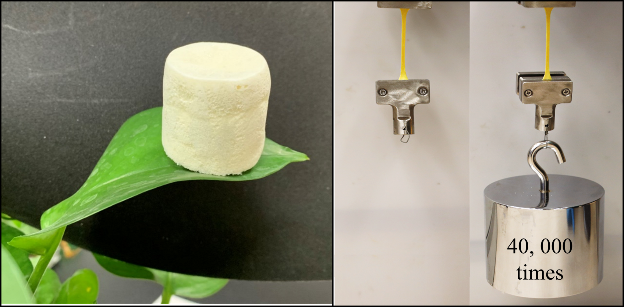 Ultrastrong and multifunctional aerogels with hyperconnective network ...