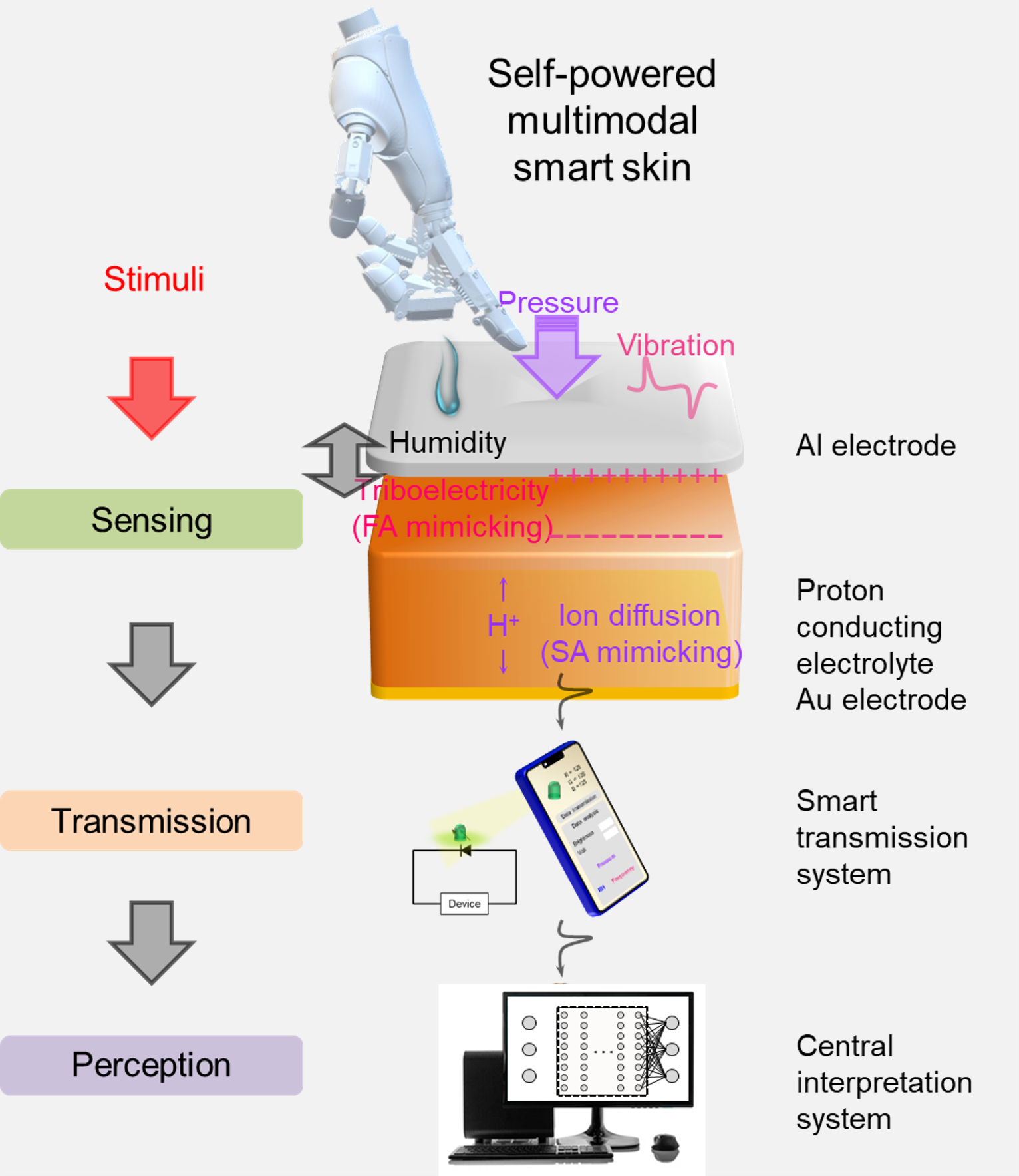 Self-powered Multimodal Smart Skin Enabled by Triboelectricity and ...