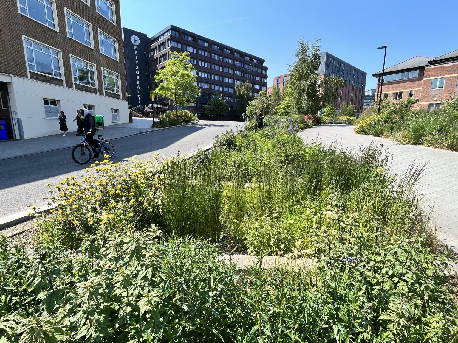 TechTalk – Greening the Slope: Revolutionizing Urban Water Management ...