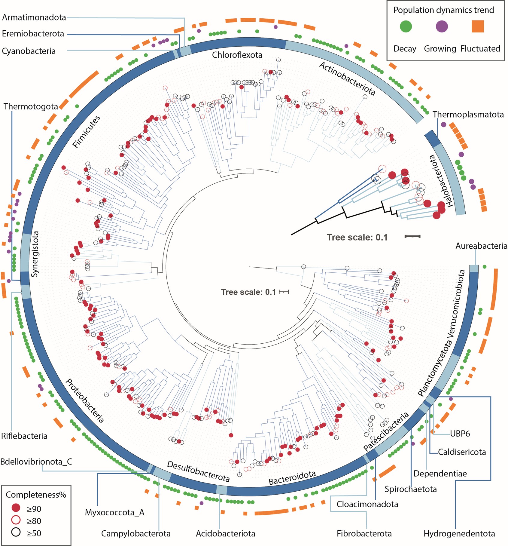 HKAE TechTalk – Environmental Analytical Microbiology and its ...